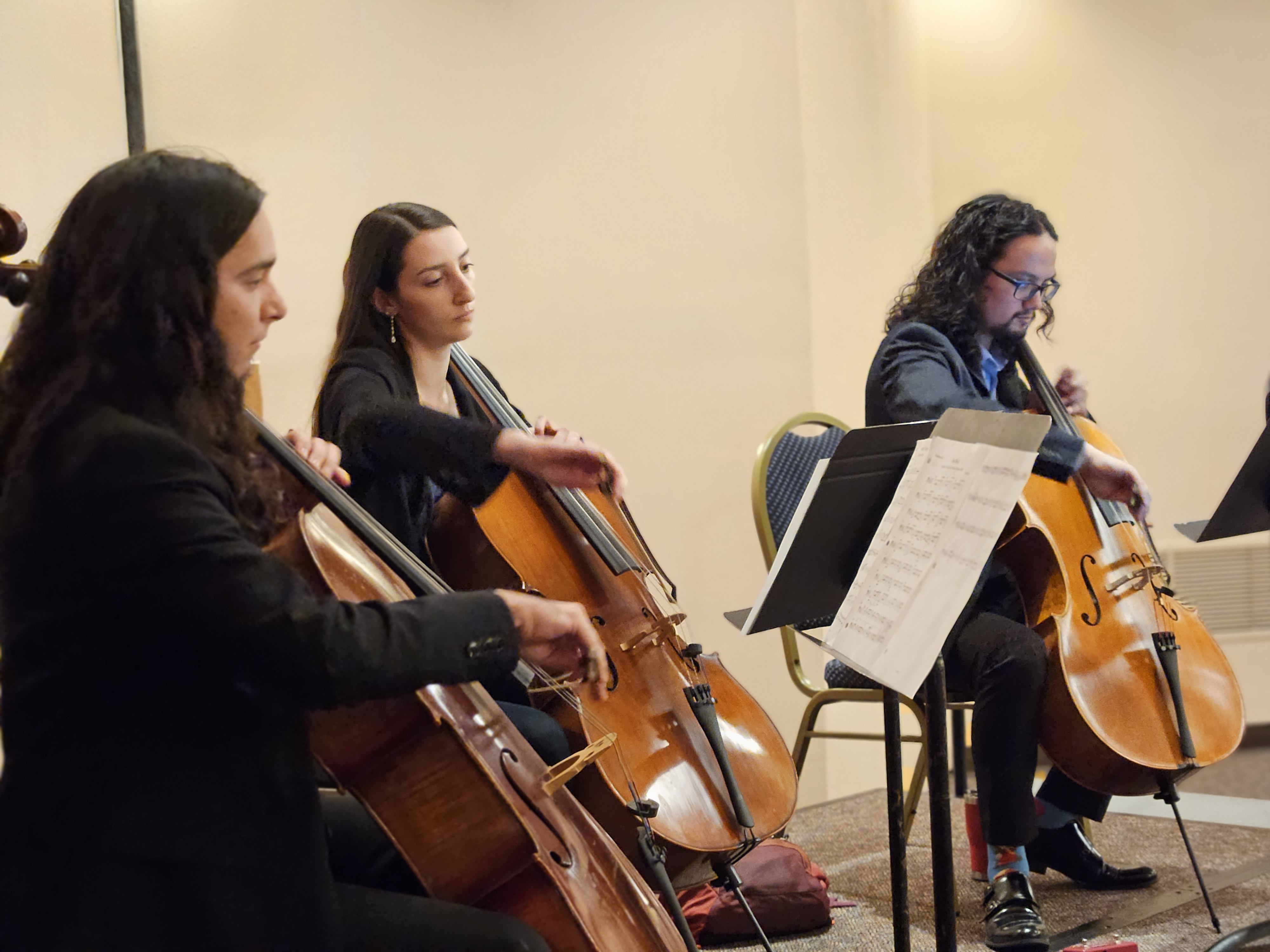Trio Ponticello – A Tulsa-based Cello String Trio performing musical ...